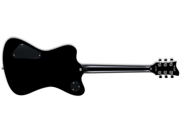 LTD Sparrowhawk Vintage Silver Sunburst Bill Kelliher Signature ...
