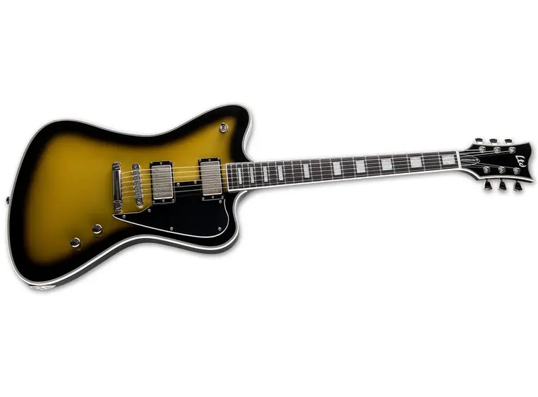 LTD Sparrowhawk Vintage Silver Sunburst Bill Kelliher Signature ...
